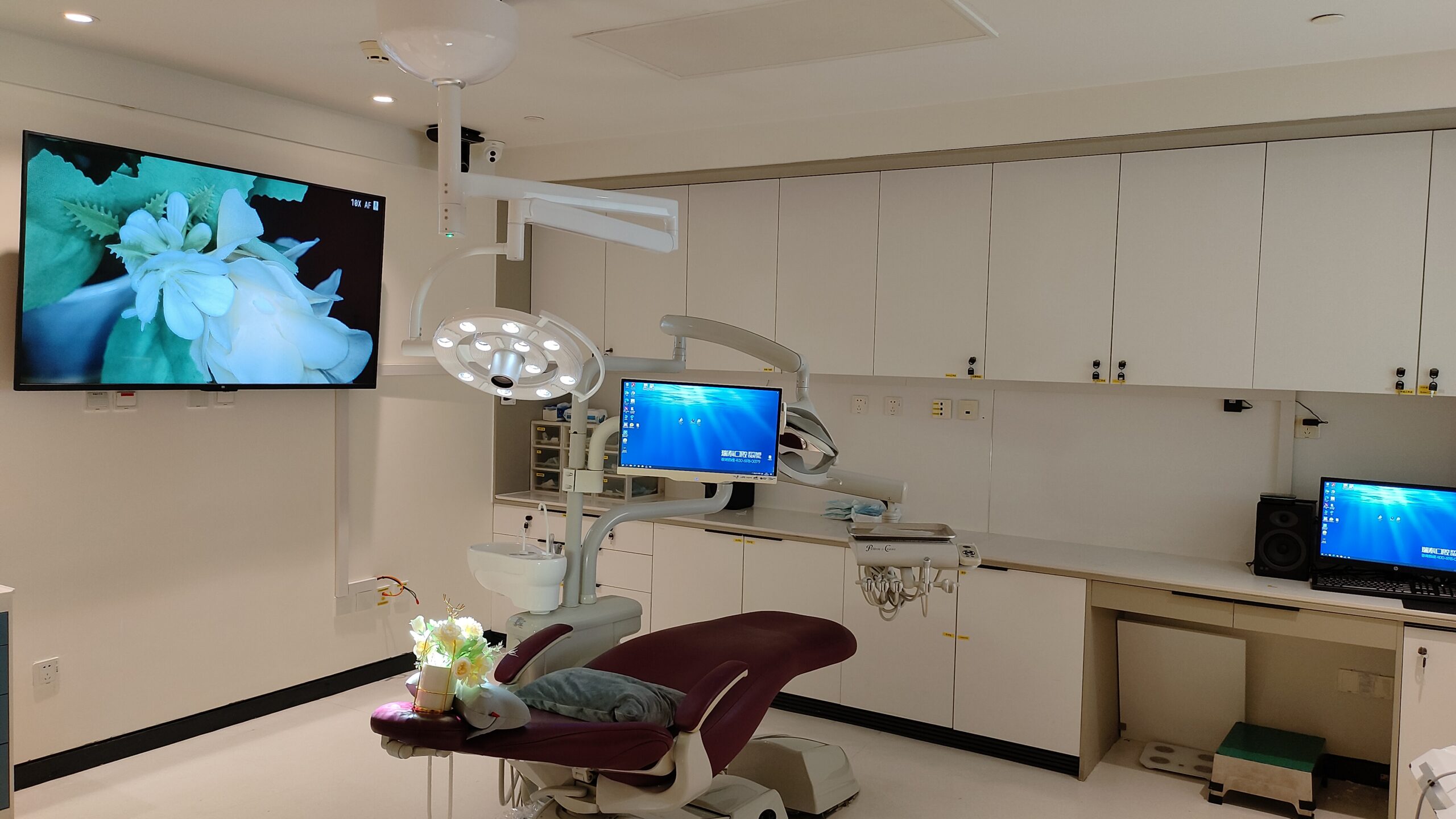 Dental Lamp With Recording System – High‑Quality LED & HD Recording ...